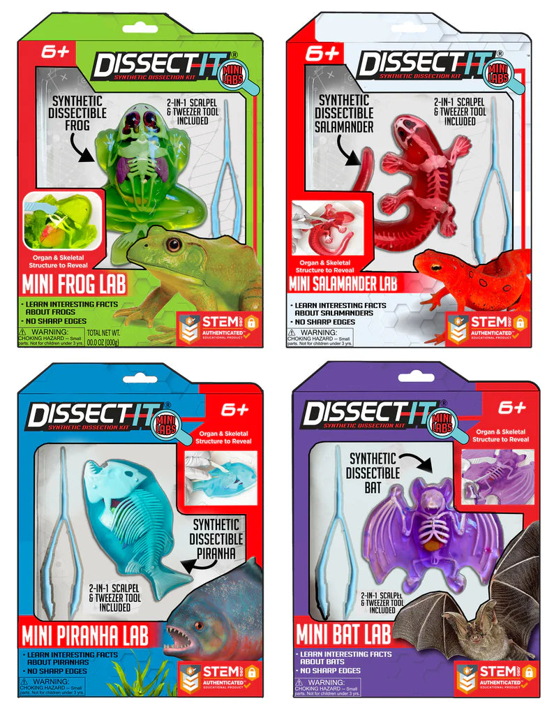 Dissect It Mini Labs Assortment – The Fun Company